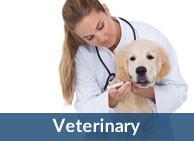 Veterinary