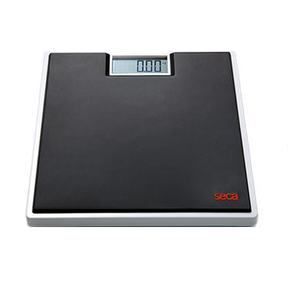 Buy Seca 803B Digital Flat Scale Online